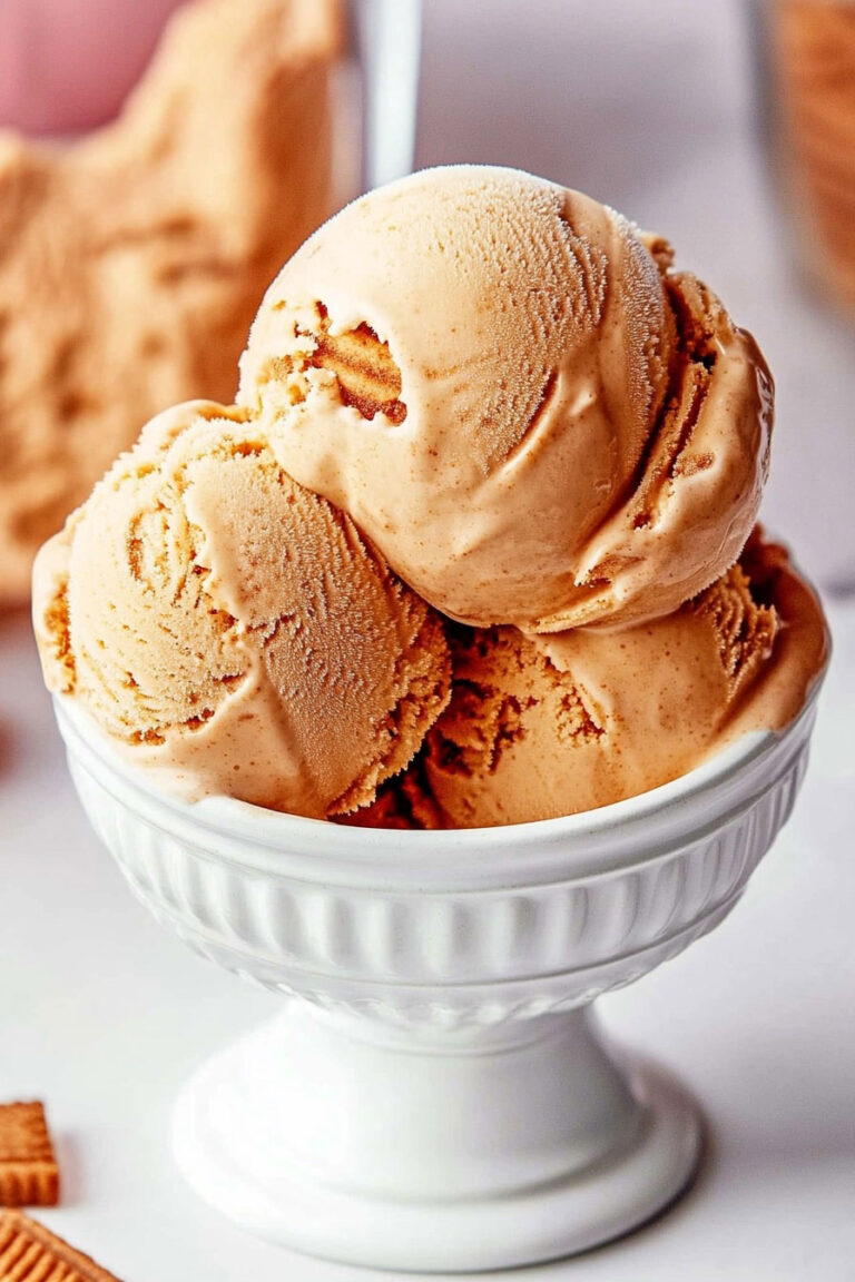 Creamy Biscoff Ice Cream Recipe