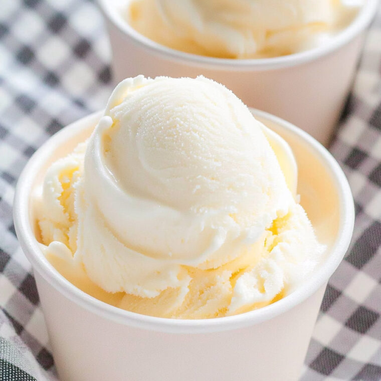 Homemade Vanilla Ice Cream | Ninja Creami Recipe